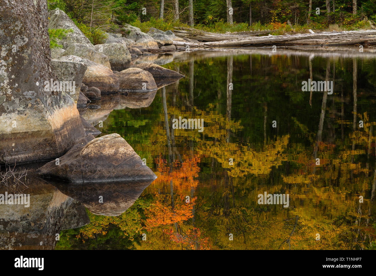 Reflections of autumn foliage in Siamese Pond in the Siamese Ponds ...