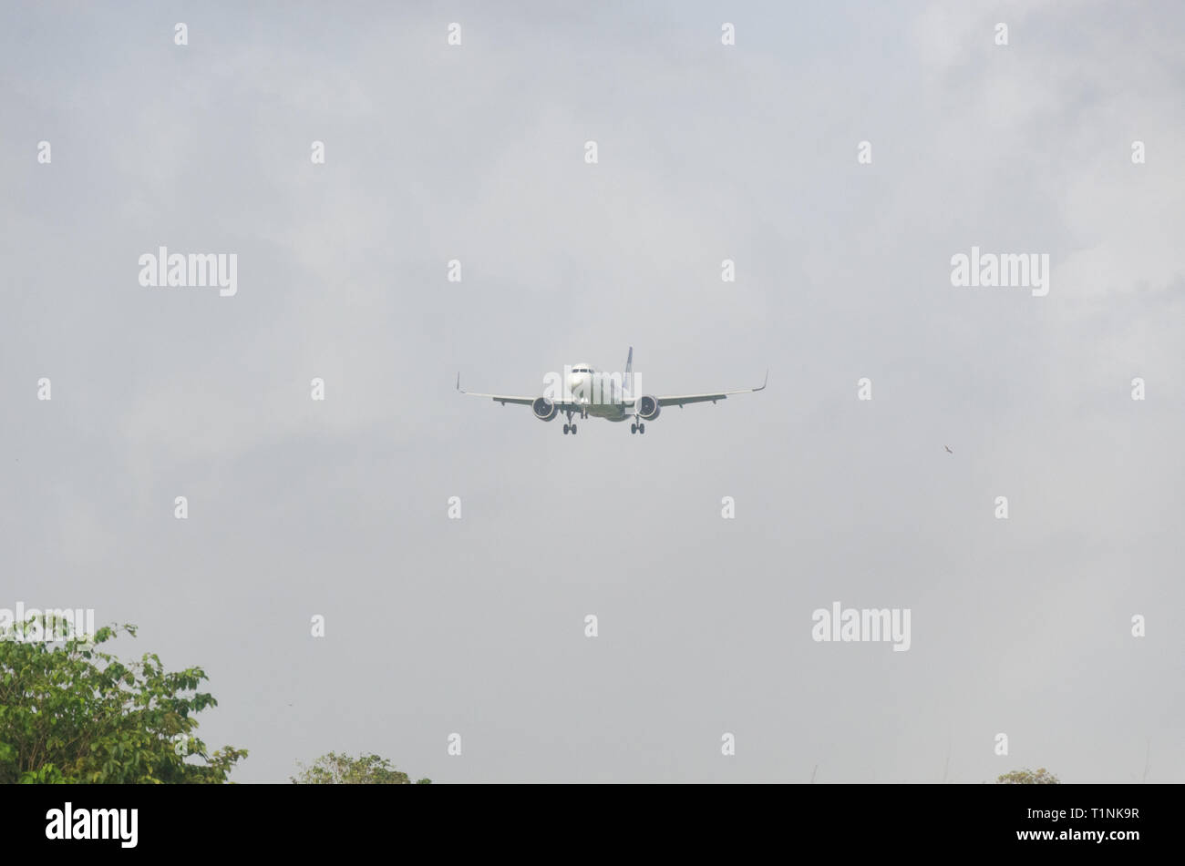 GoAir Airbus A320 flight with landing gears deployed prepares to land ...
