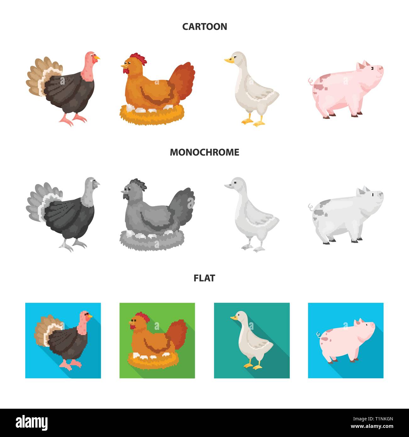 turkey,hen,goose,pig,bird,pet,animal,funny,pork,thanksgiving,egg,Canada ...