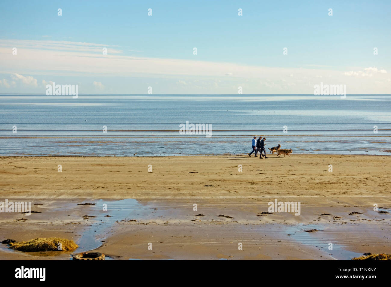 People walking their dogs on a sandy beach at the edge of the sea on a ...
