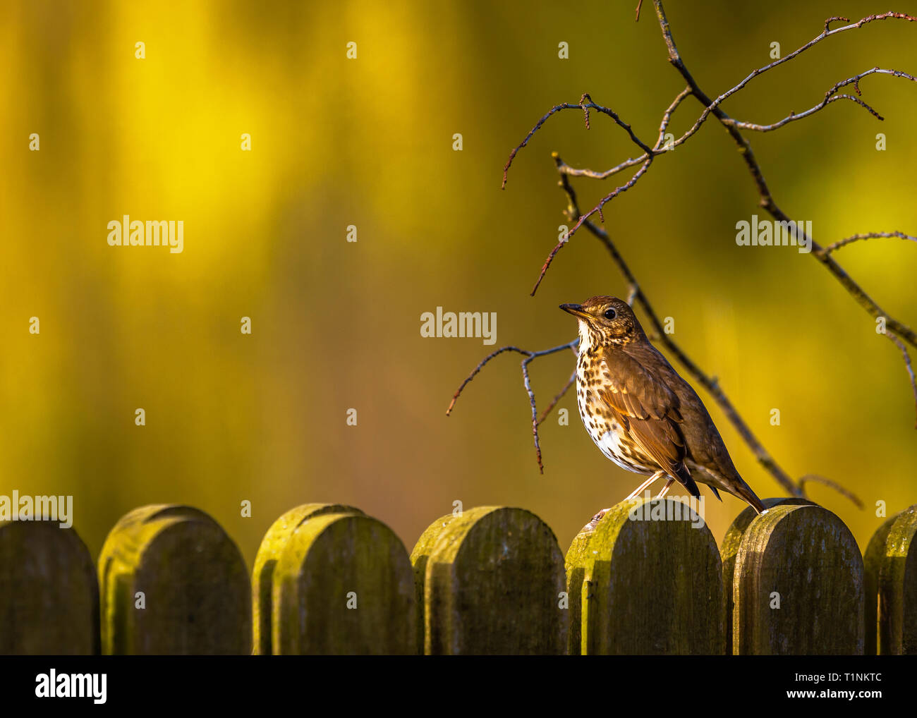 Mere of motion hi-res stock photography and images - Alamy