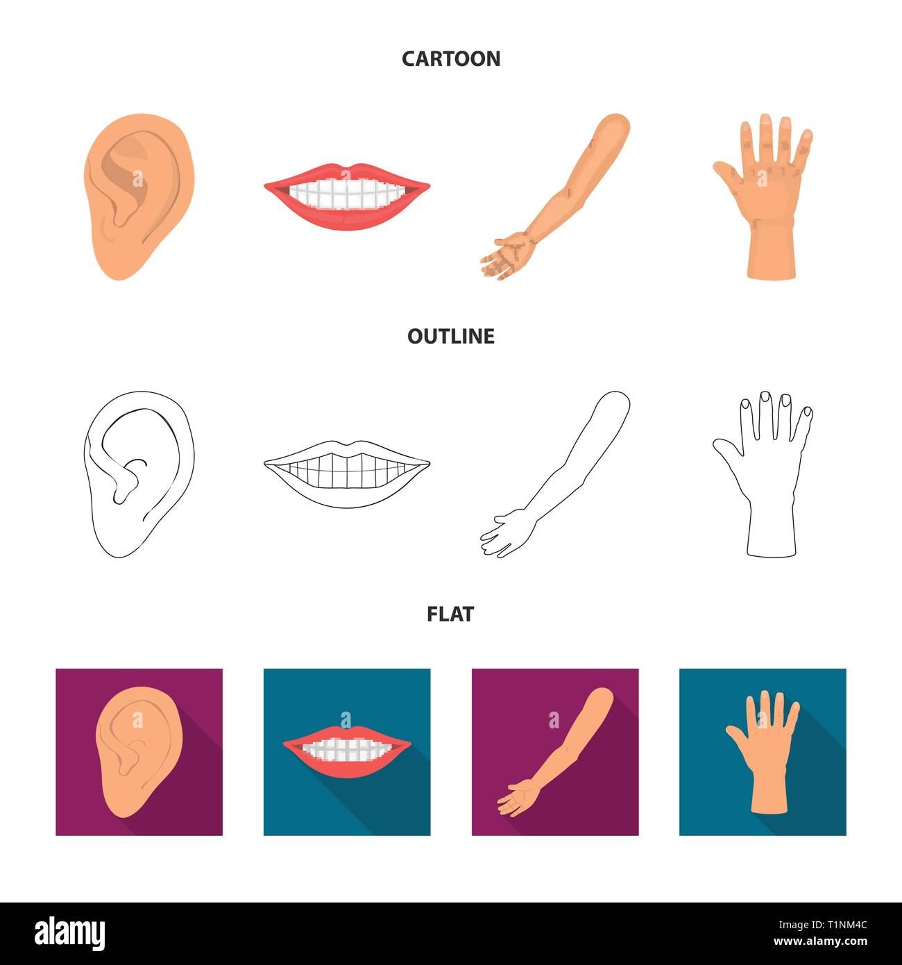 Isolated object of body and part symbol. Collection of body and anatomy ...