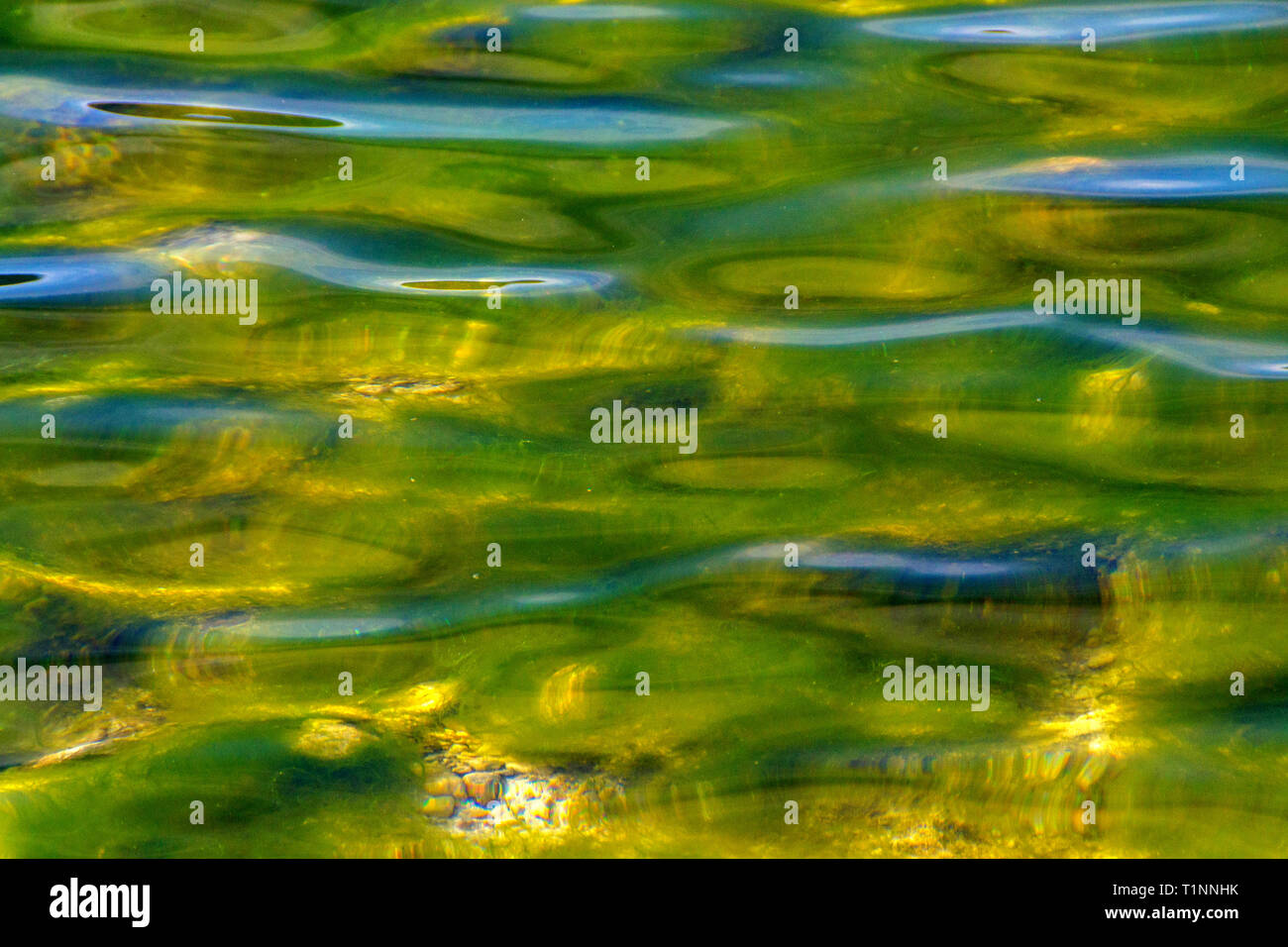 Close-up photography of lake water surface. Water texture Stock Photo ...