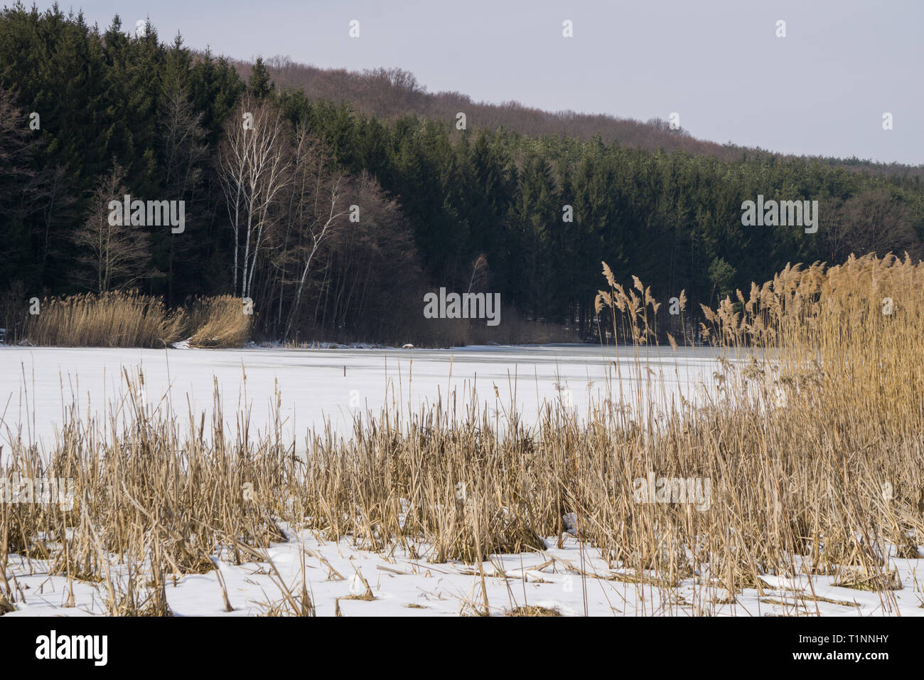 Bland landscape hi-res stock photography and images - Alamy