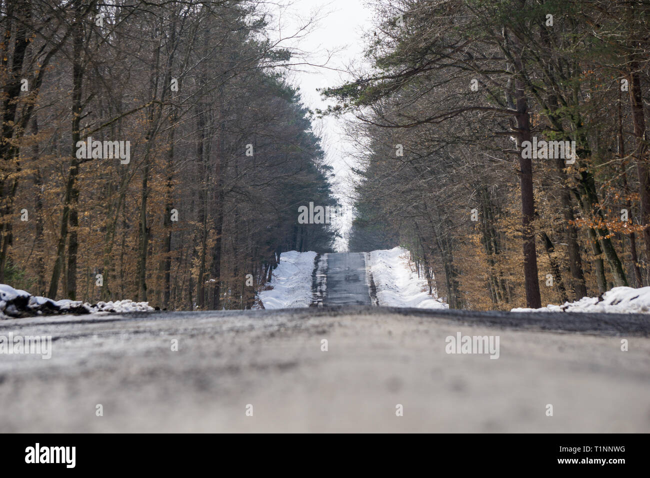 Beautiful street level view hi-res stock photography and images - Alamy