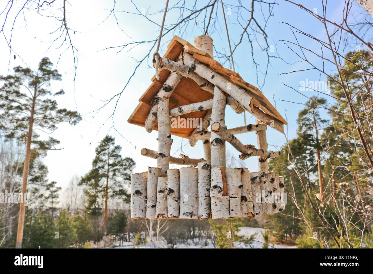 Unusual bird feeder made from birch branches Stock Photo - Alamy
