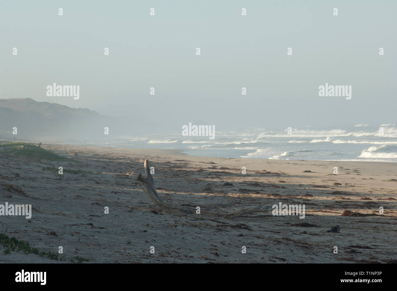 Surf Beach near Lompoc, central California coast. Digital photograph ...