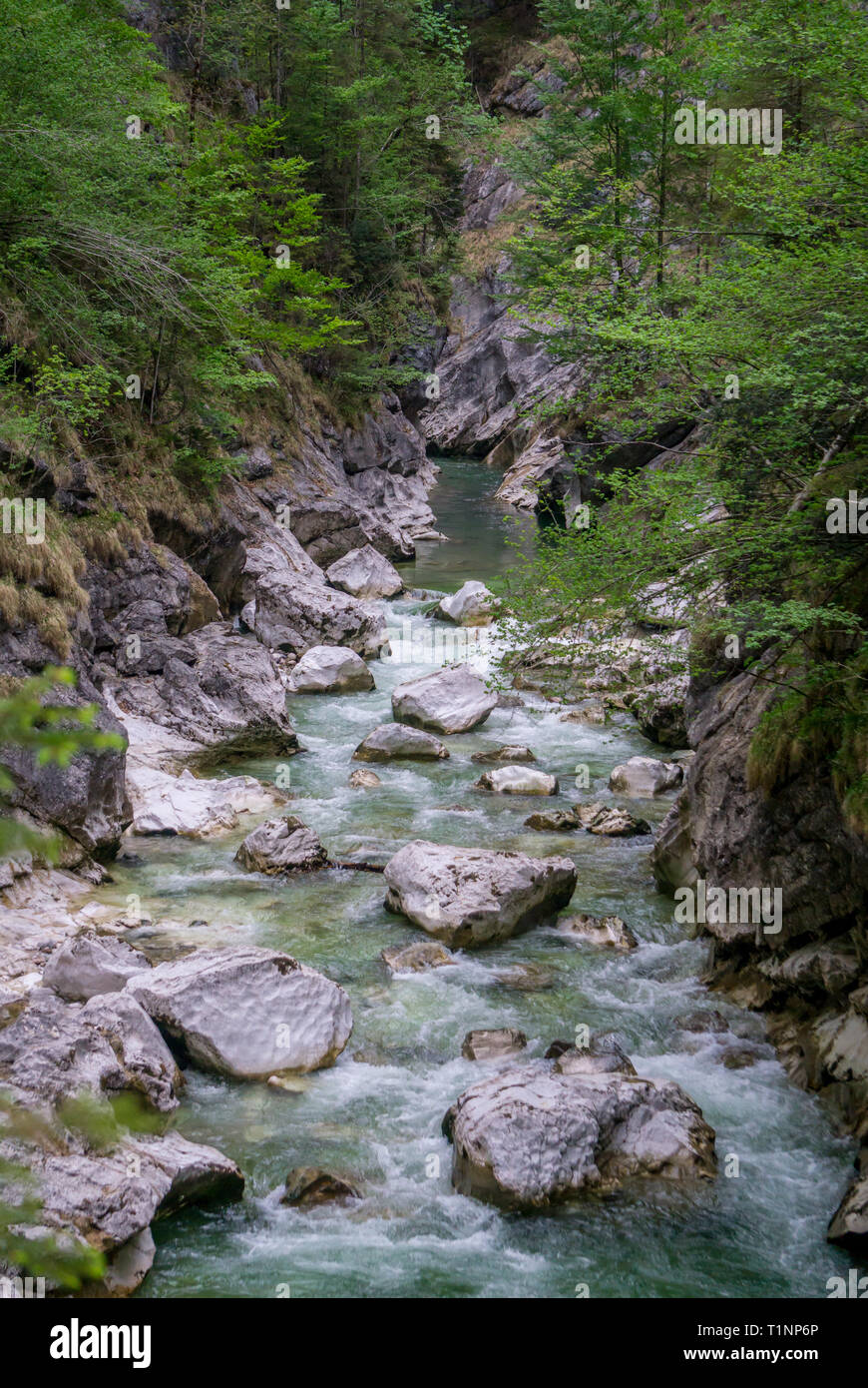 Beautiful alpine stream flowing through a narrow gorge Stock Photo - Alamy