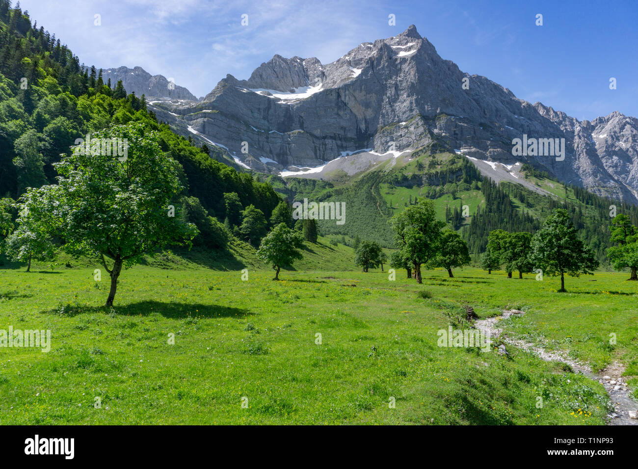 Beautiful alpine valley Stock Photo - Alamy