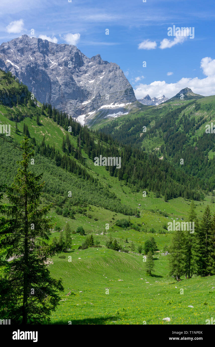 Vertical shot beautiful alpine hi-res stock photography and images - Alamy