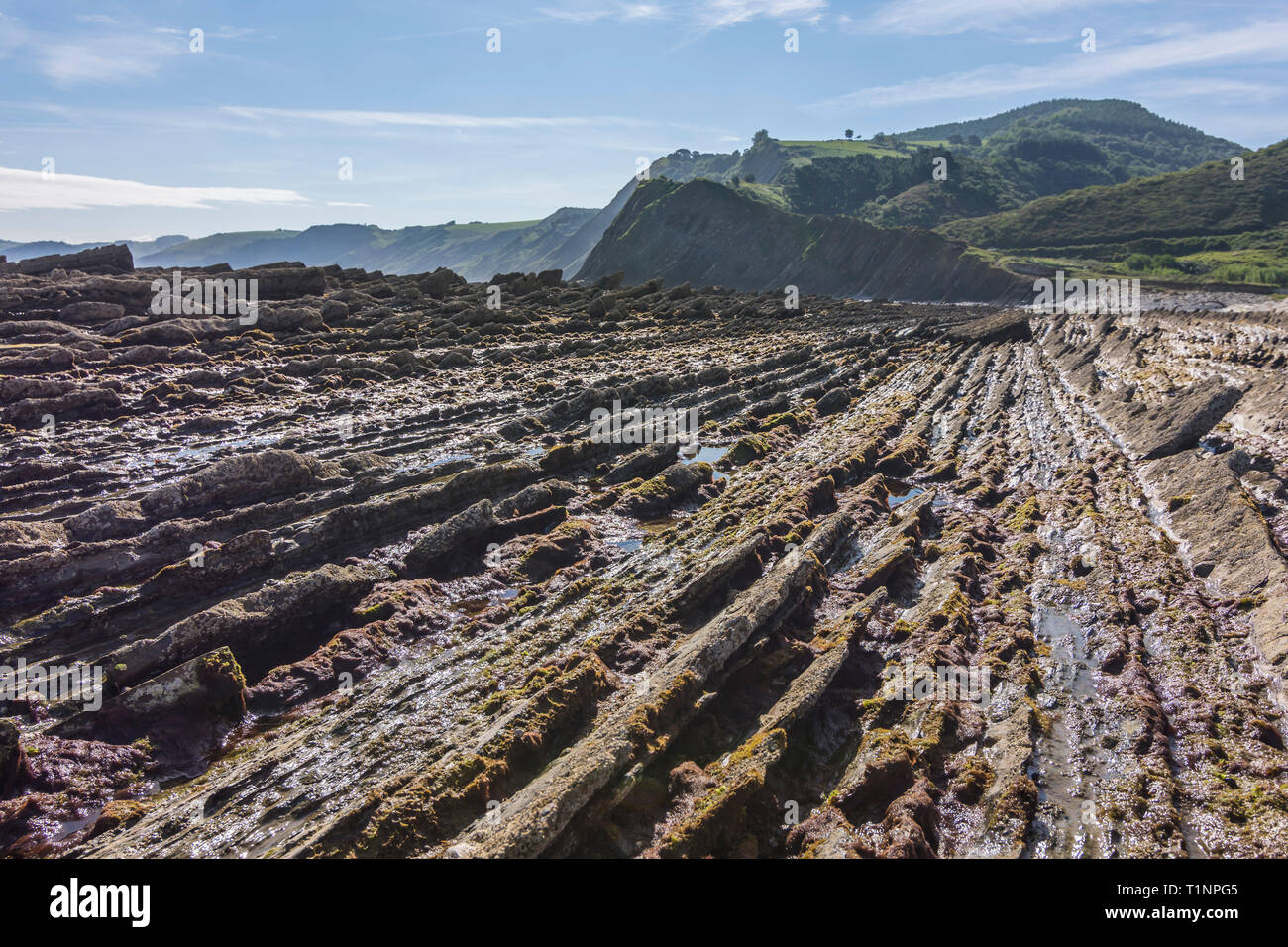 The Flysch of Zumaia, Basque Country, Spain Stock Photo - Alamy