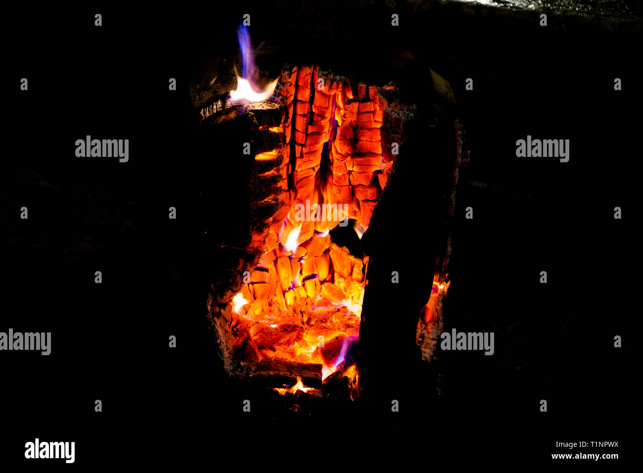 Tree trunk burning from the inside Stock Photo - Alamy