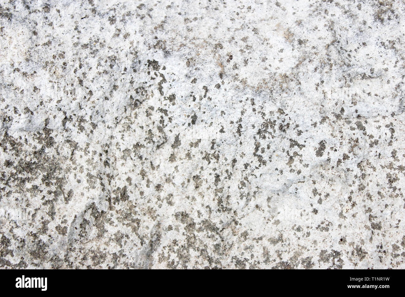 The texture of a flat stone limestone rocks in the background Stock ...