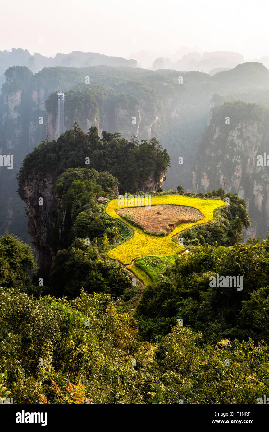 Spectacular front garden hi-res stock photography and images - Alamy
