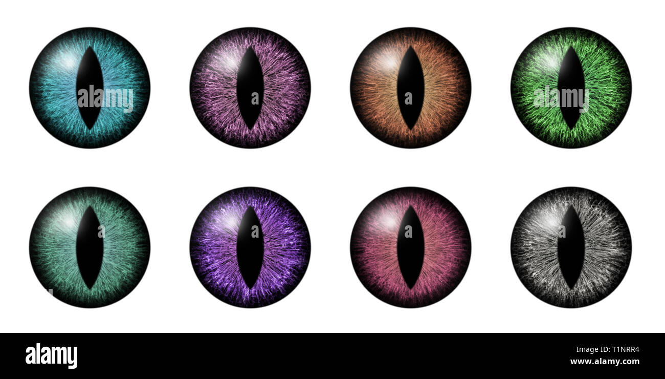 Detail macro illustration of different animal eyes iris Stock Photo - Alamy