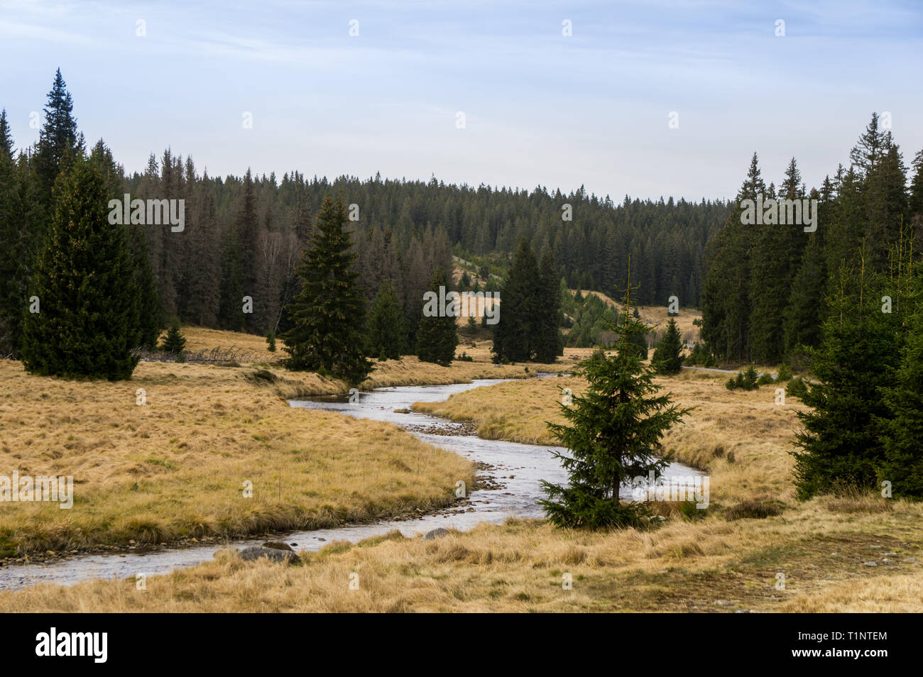 River bending as it flows through the landscape Stock Photo - Alamy