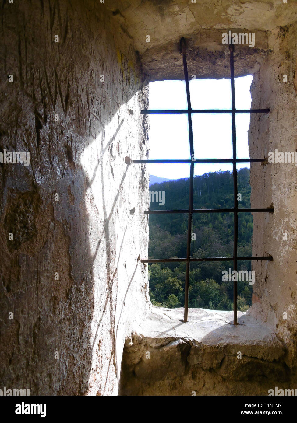 Window with iron bars in old medieval castle with forest in the ...