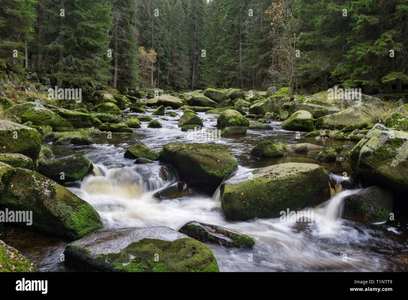 Beautiful river flowing hi-res stock photography and images - Alamy