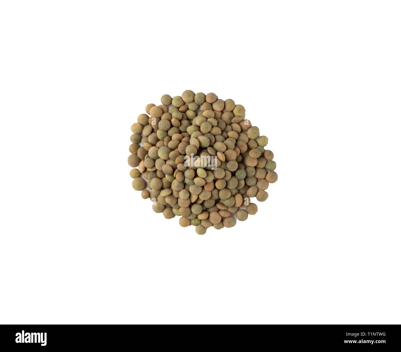 Seed of canadian Cut Out Stock Images & Pictures - Alamy