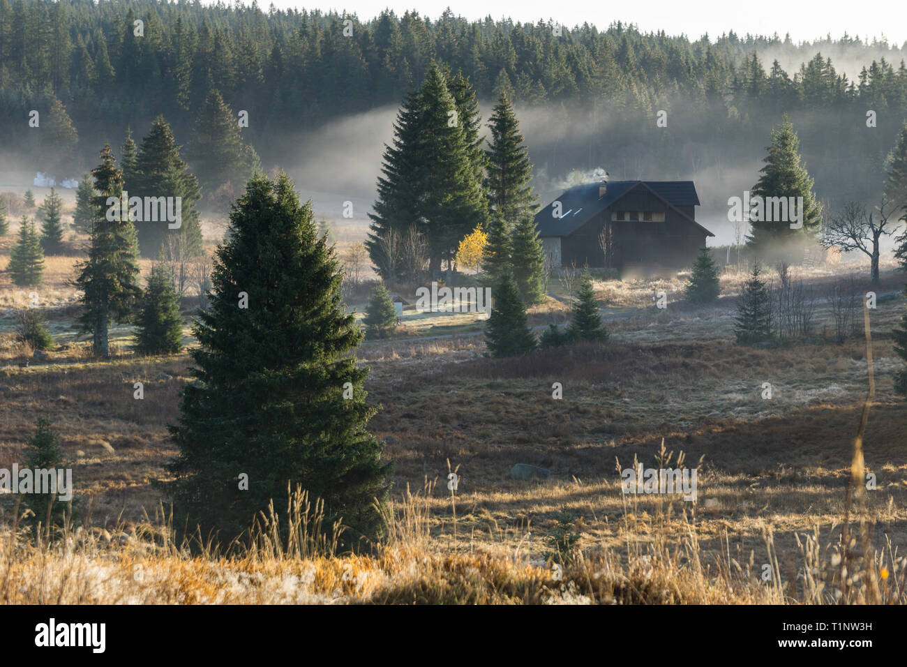 Cabin in the Sumava National Park Stock Photo - Alamy