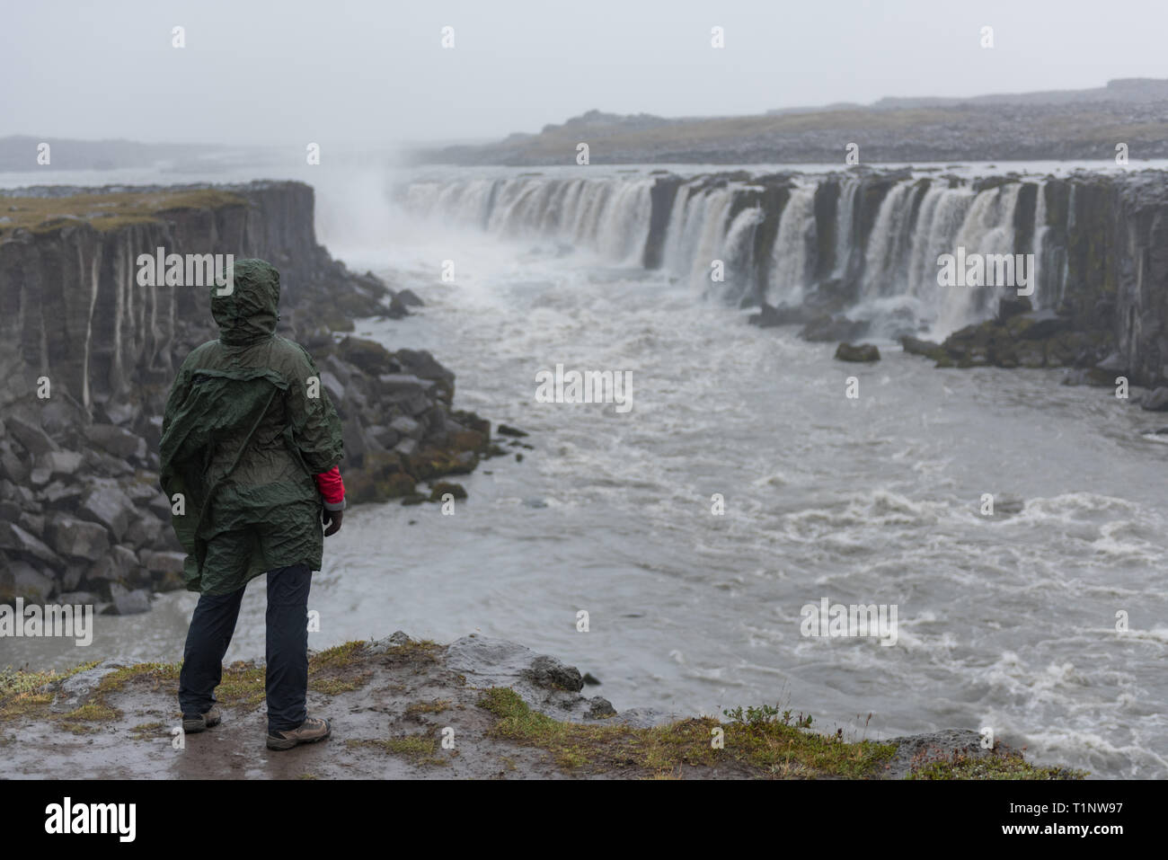 A young woman looking at a waterfall, Iceland. Rainy weather with wind ...