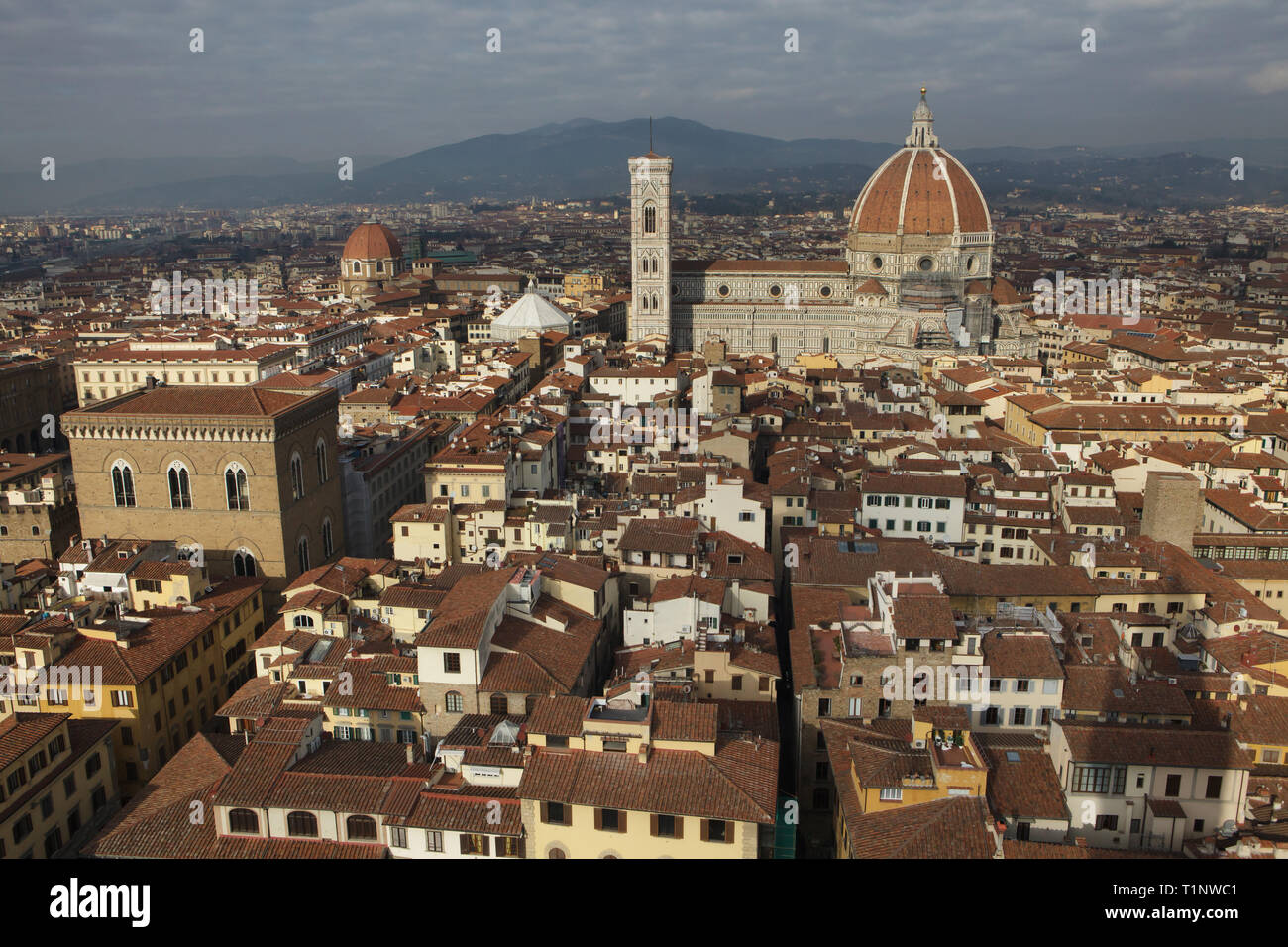 Florence cathedral dome and giottos campanile from rooftop terrace hi ...