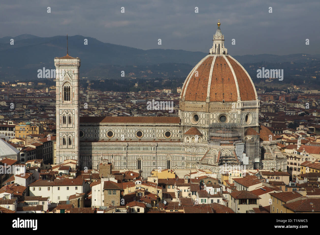 Florence cathedral dome and giottos campanile from rooftop terrace hi ...