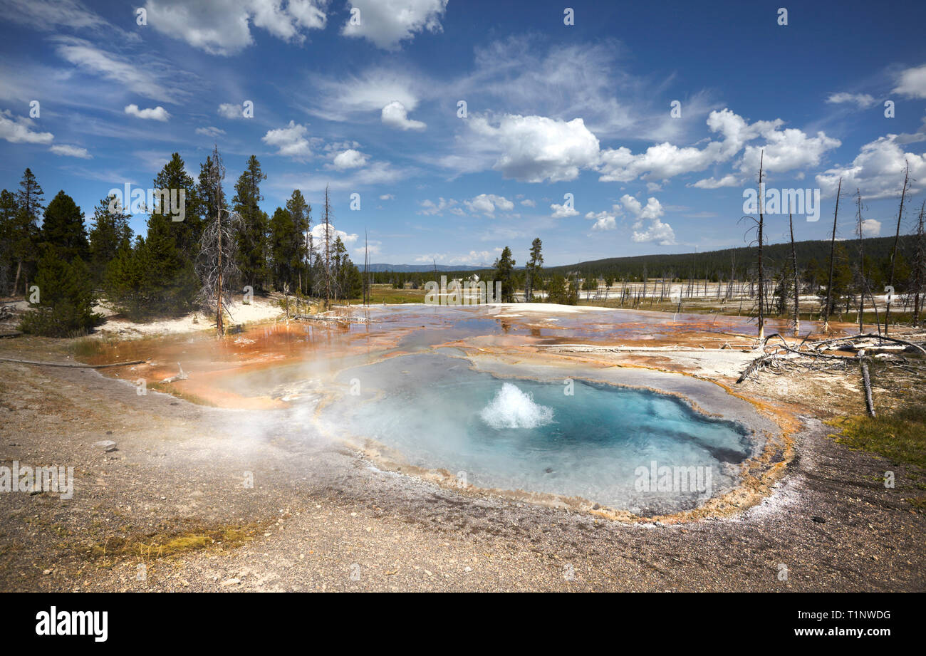 Hot Spring, Yellowstone National Park, America Stock Photo - Alamy