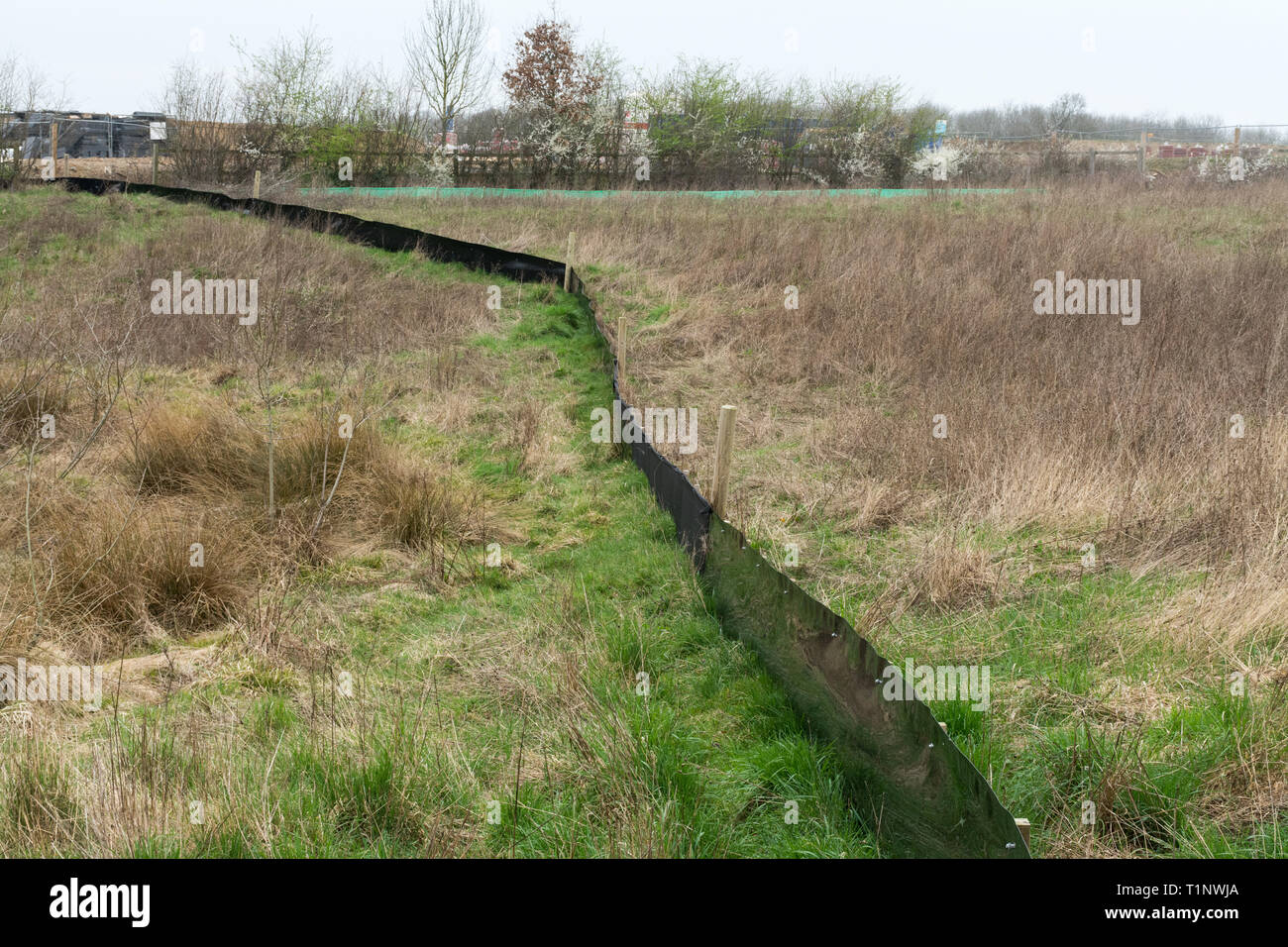 Newt fencing to protect great crested newts and prevent them migrating ...