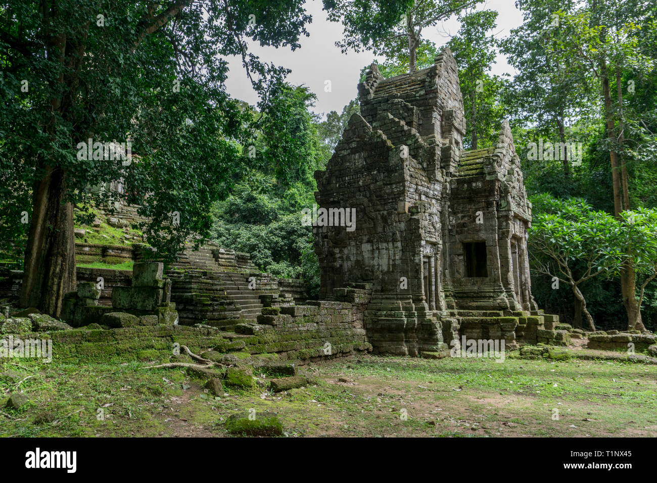 A stone structure in the middle of the Cambodian jungle near Siem Reap ...