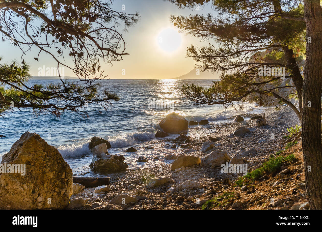 Waves beat on the coastal stones Stock Photo - Alamy