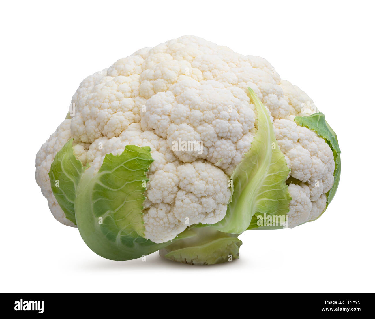 Cauliflower isolated on white background Stock Photo - Alamy