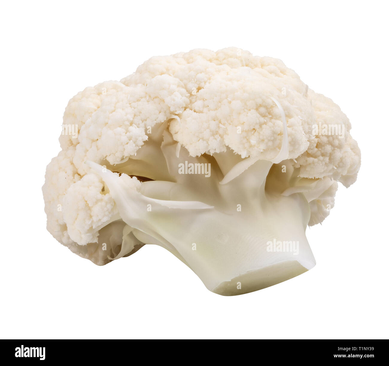 Cauliflower isolated on white background Stock Photo - Alamy