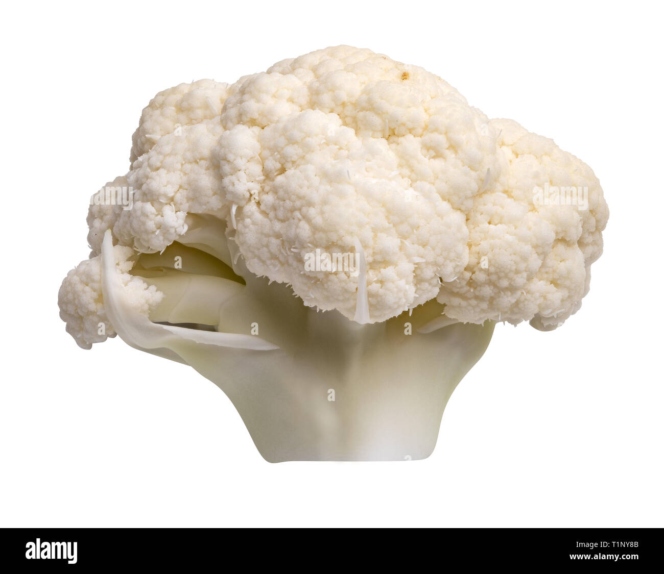 Cauliflower isolated on white background Stock Photo - Alamy