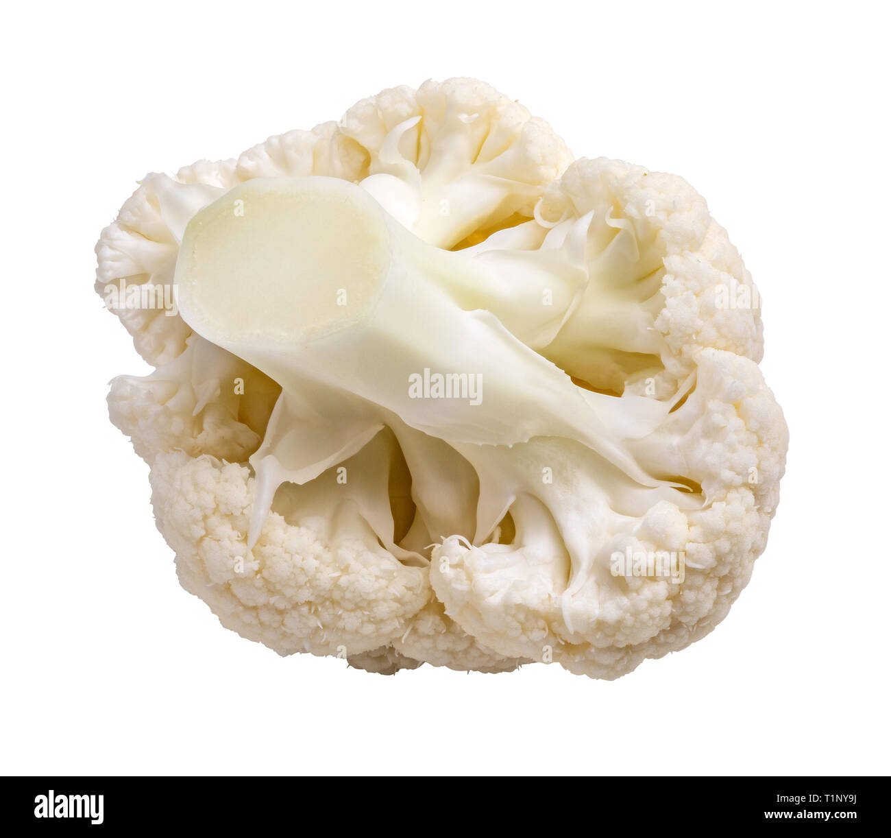 Cauliflower isolated on white background Stock Photo - Alamy