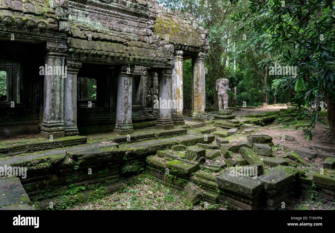Jungle covered angkor hi-res stock photography and images - Alamy