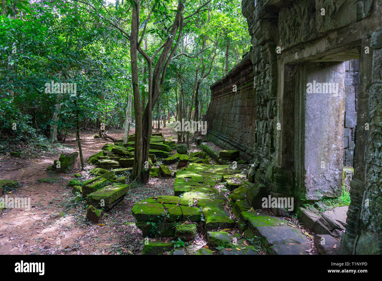 Ancient temple moss covered ruins hi-res stock photography and images - Alamy
