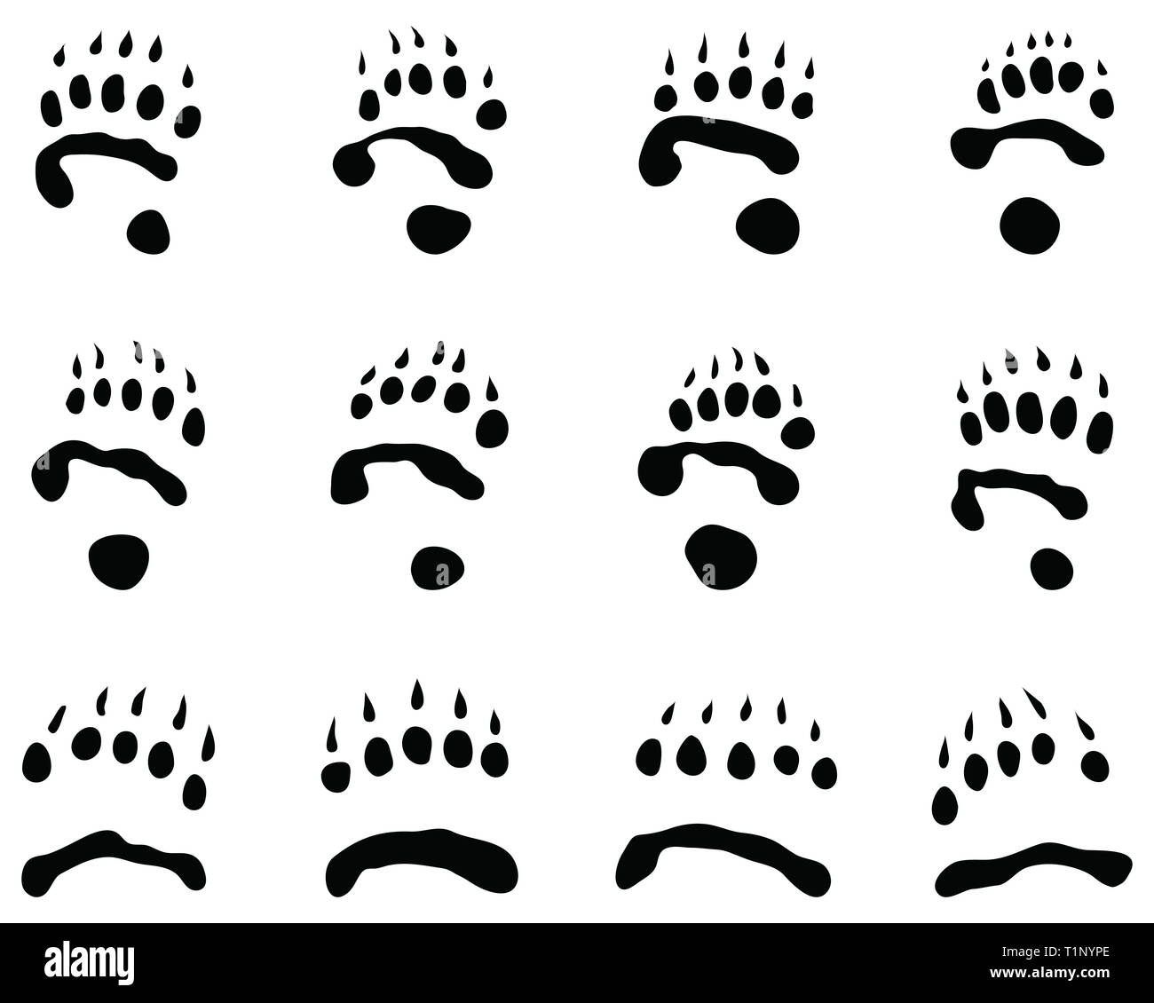 Panda paws Black and White Stock Photos & Images - Alamy