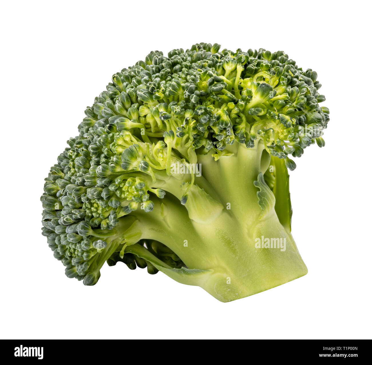 Broccoli isolated on white background Stock Photo - Alamy