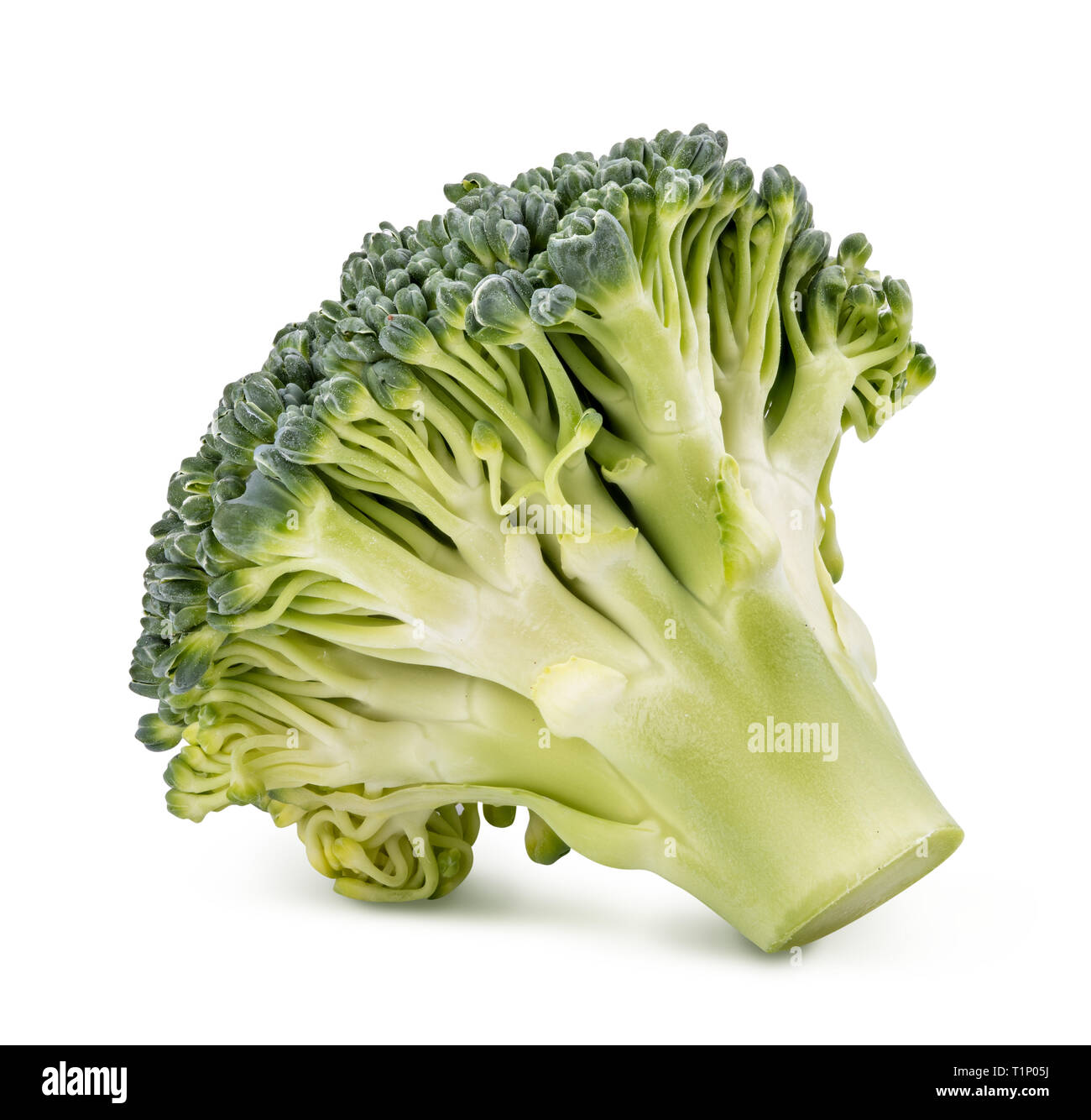 Broccoli isolated on white background Stock Photo - Alamy