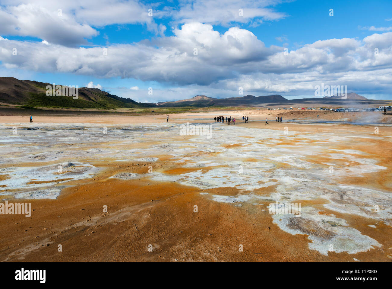Fumarole field in Namafjall, Iceland. Geothermal beauty landscape Stock ...