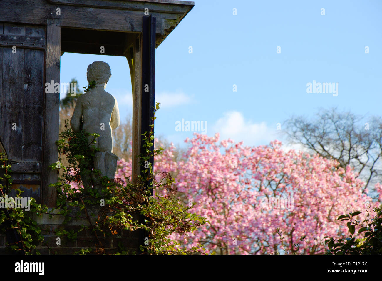 Classic sculpture white back hi-res stock photography and images - Alamy