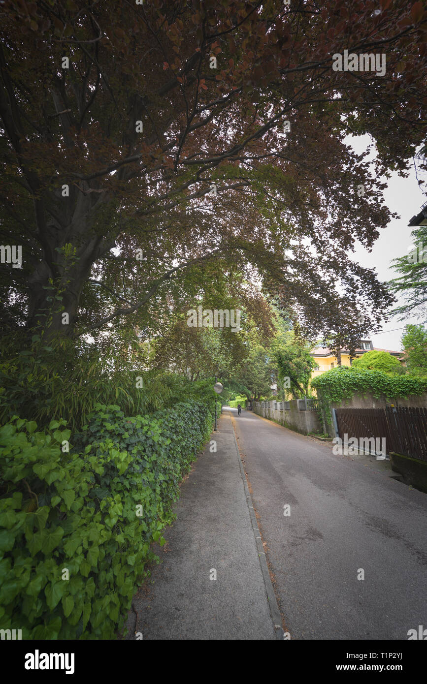 Road houses uk trees suburban hi-res stock photography and images - Alamy