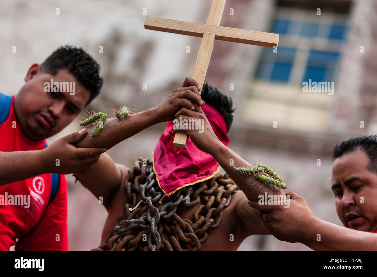 A hooded Catholic penitent, wearing chains and cactus spines stuck to ...