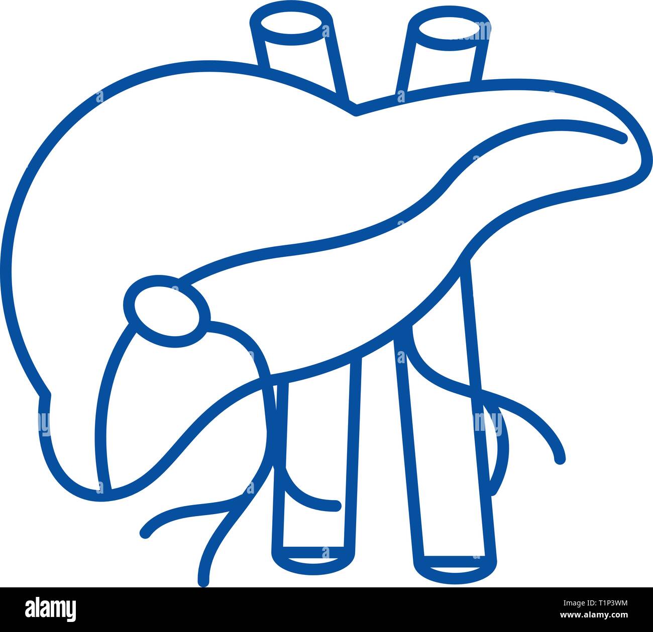 Human liver line icon concept. Human liver flat vector symbol, sign ...