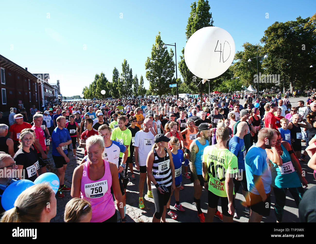 Many participants in an exercise race Stock Photo - Alamy