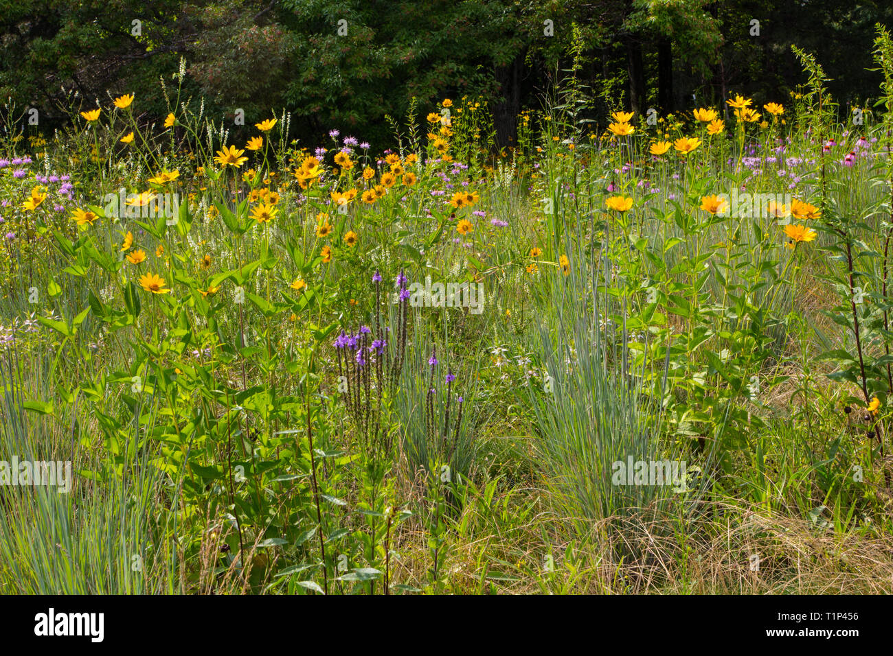Michigan rest area hi-res stock photography and images - Alamy