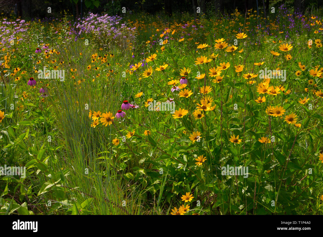 Michigan rest area hi-res stock photography and images - Alamy