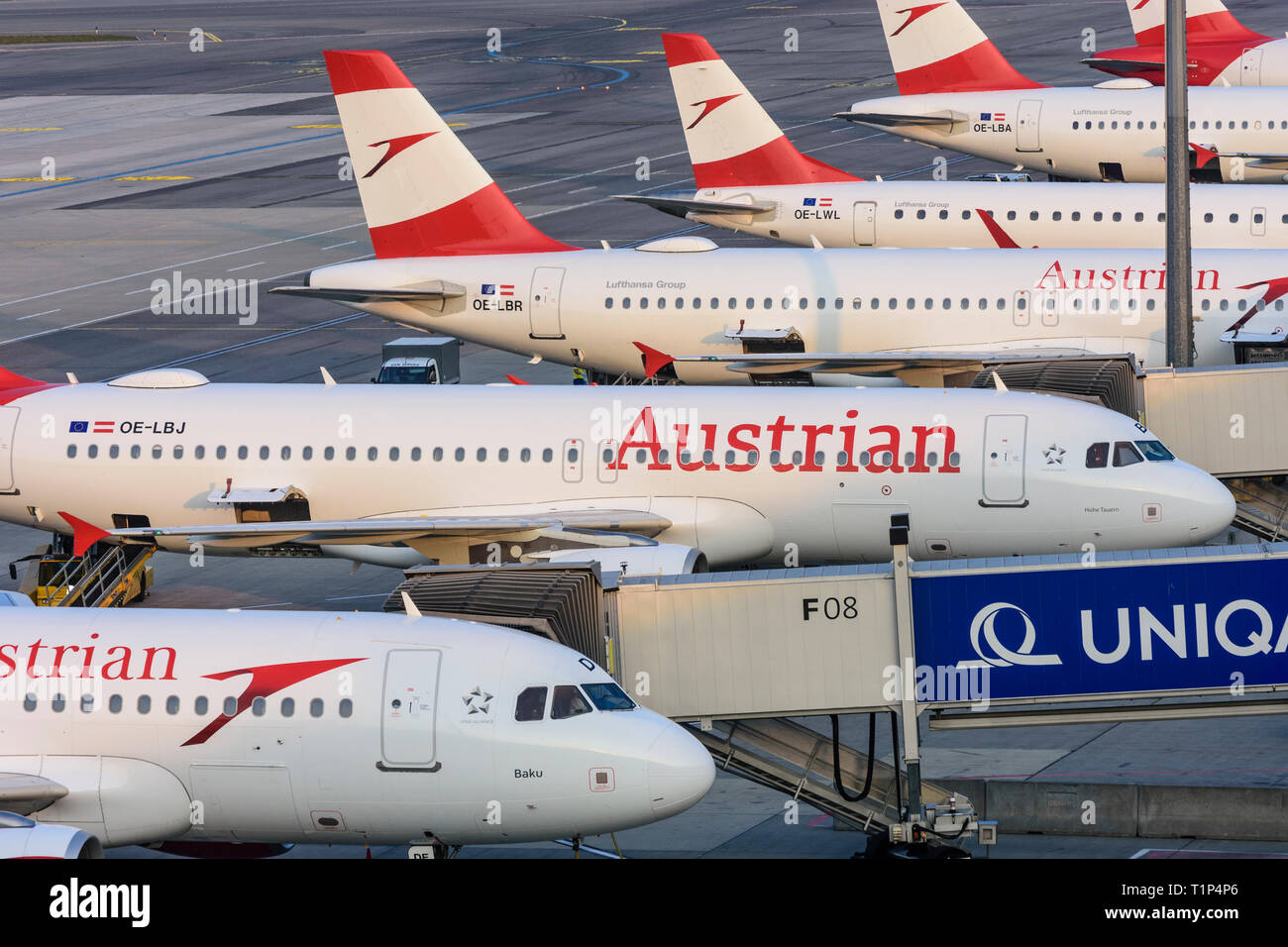 Wien Vienna airport, Austrian Airlines jets, plane, aircraft Stock ...