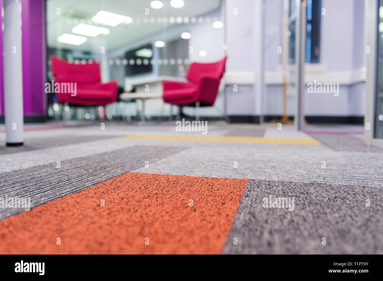 Office space carpet with chairs Stock Photo - Alamy